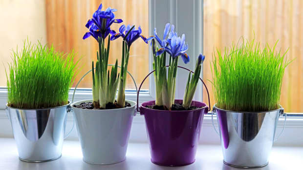 Bedroom Window Gets Instant Upgrade With DIY Ledge - Dengarden