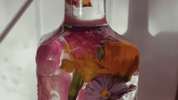 Gardener Shares Baby Oil Hack For Keeping Fresh Flowers Year-Round ...