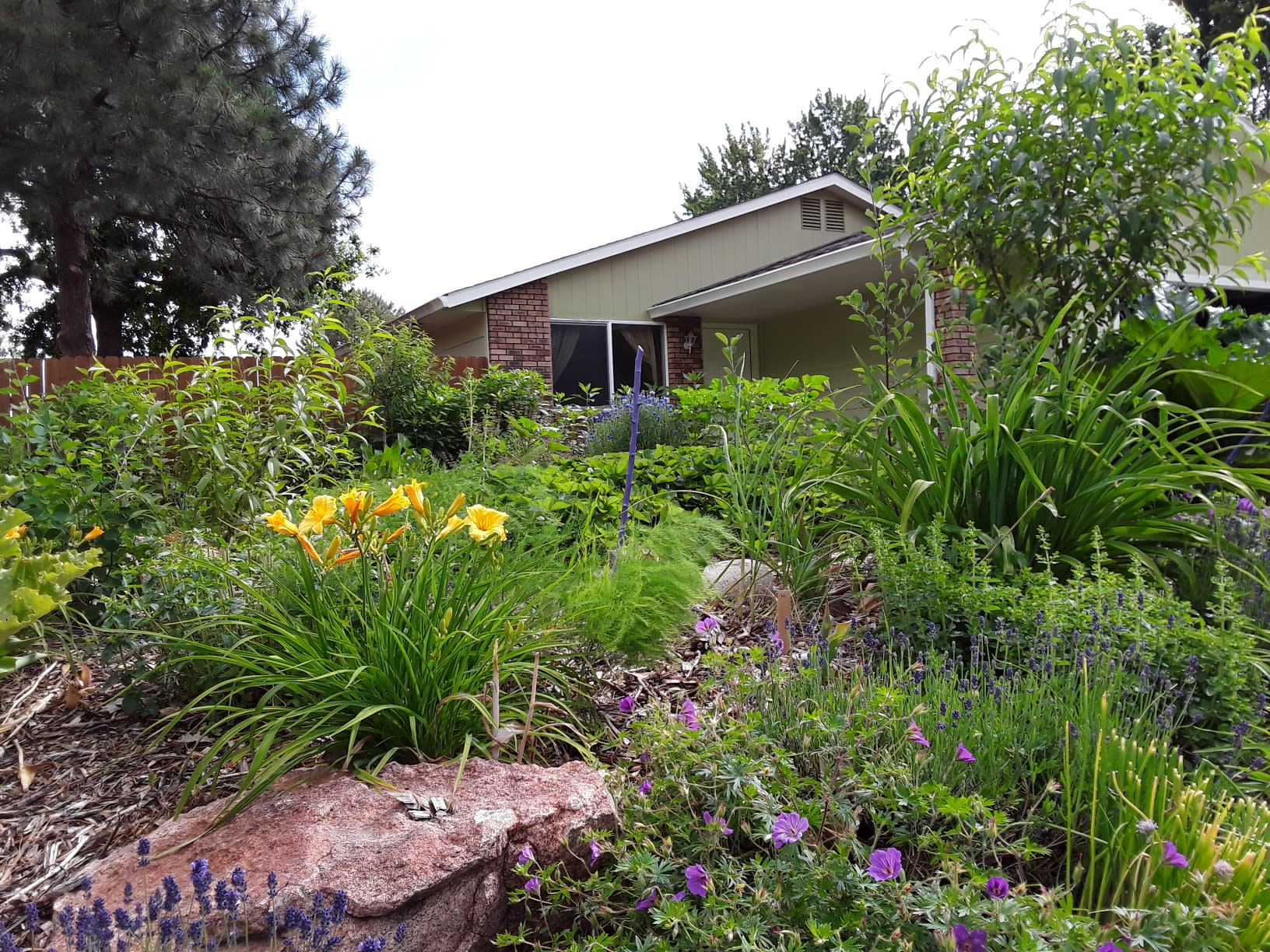 How to Use Probiotics in the Garden to Nourish Plants