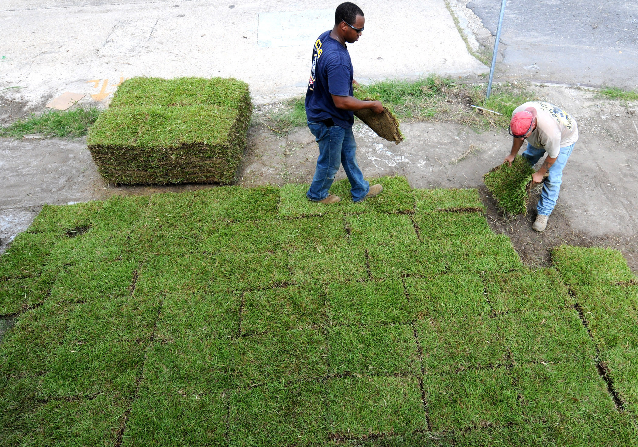 A Simple Guide to Laying Sod With Video Tutorials