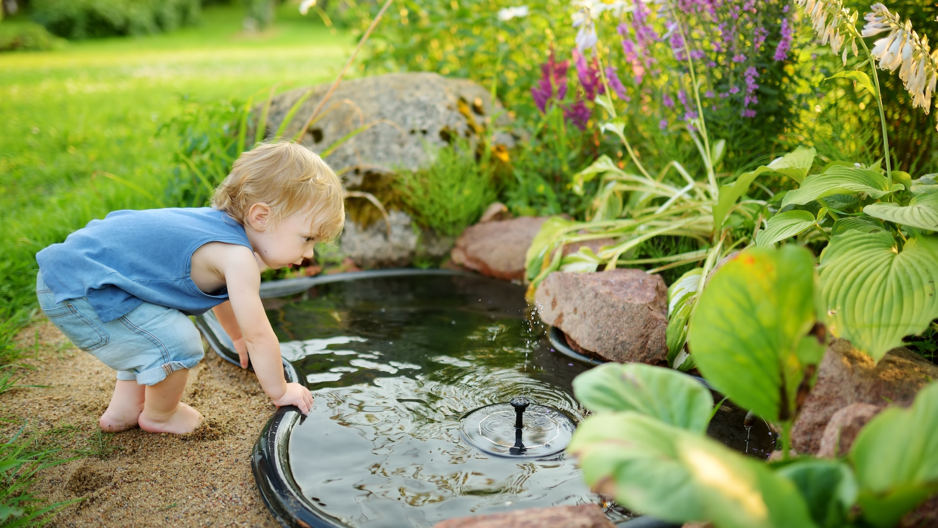 Woman Creates 'Magical' Tiny Pond in Backyard Tub