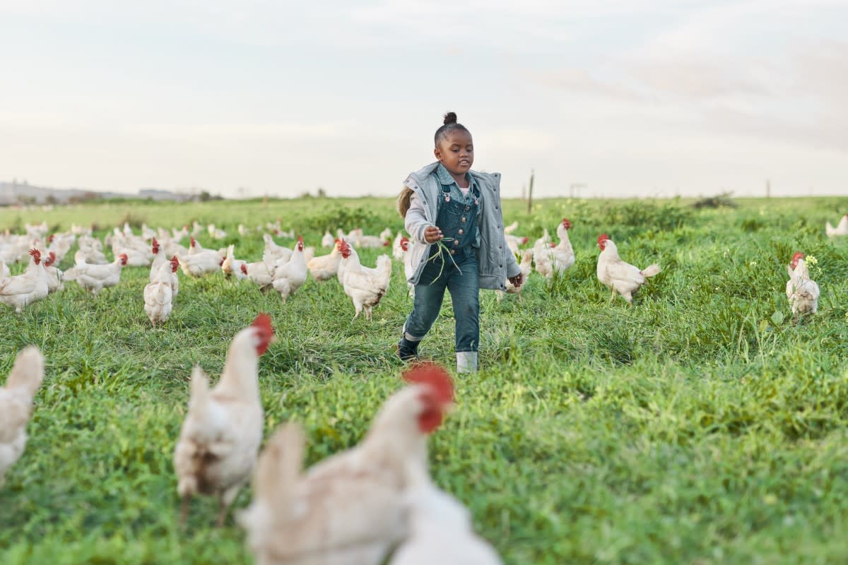 12 Easy Tricks for Keeping Predators Away From Your Garden and Flock