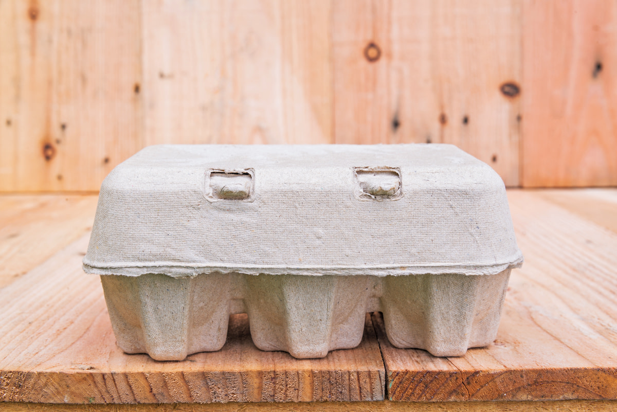 Bookworm Shares Egg Carton Hack for Making Book Displays Prettier