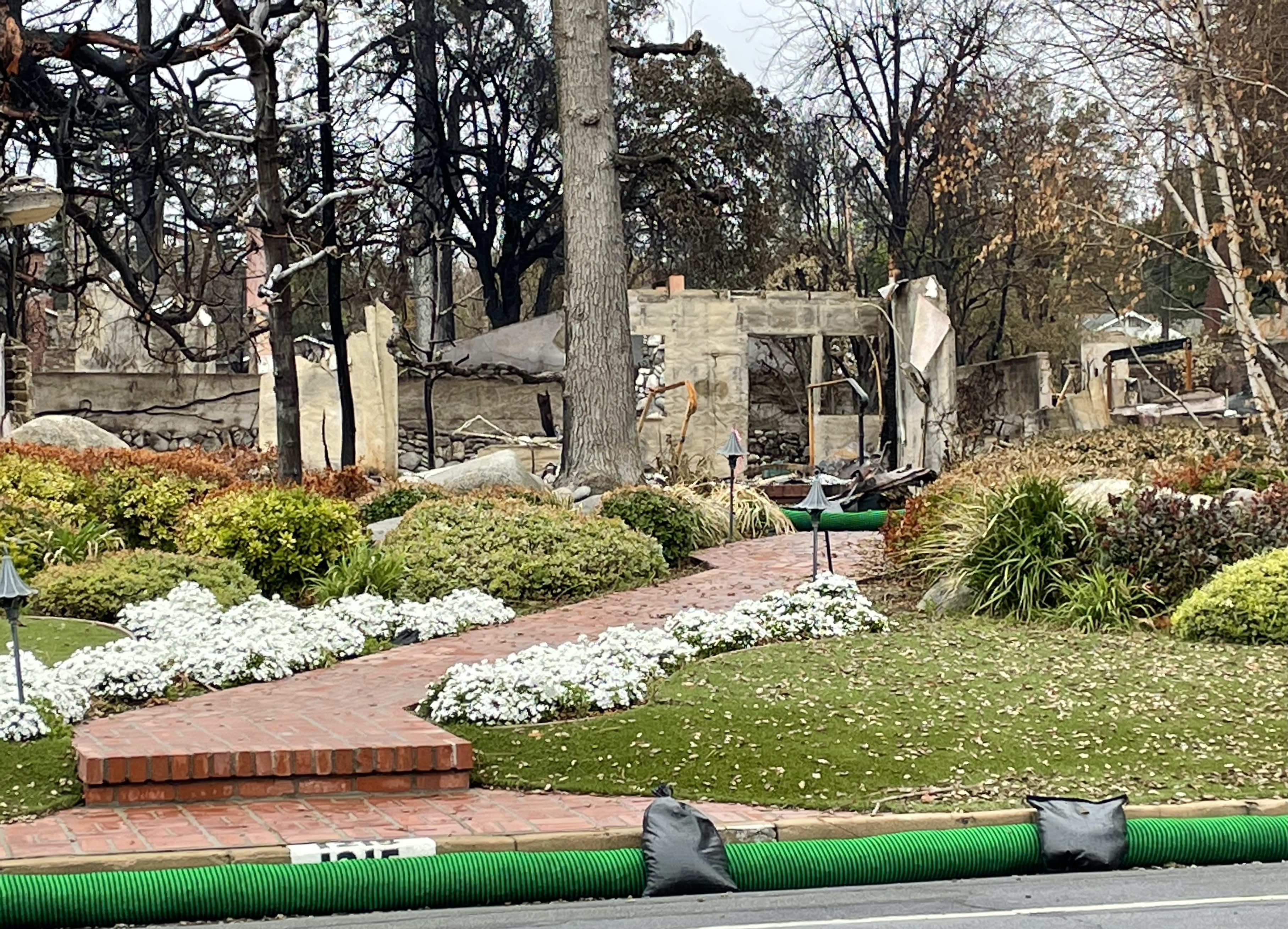 Fire-Resistant Landscaping: What to Plant to Prevent the Spread of ...