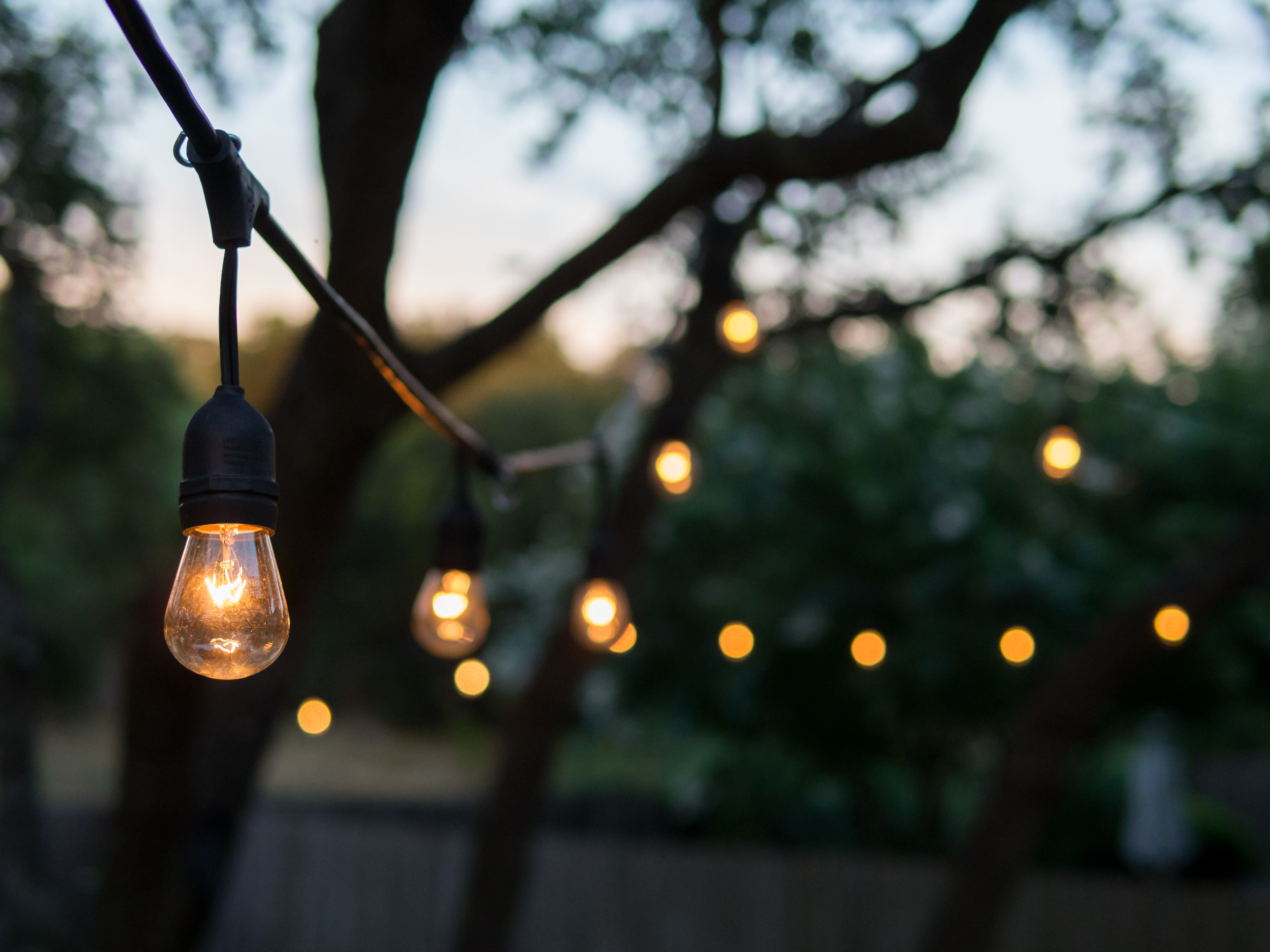 Couple Creates DIY String Light Planter That Gives Off Instant ...