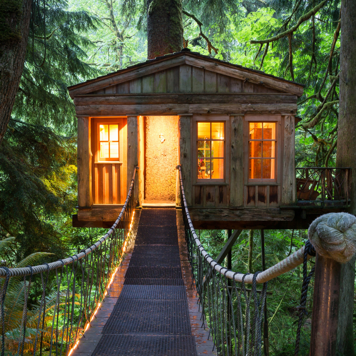 tree house wallpaper