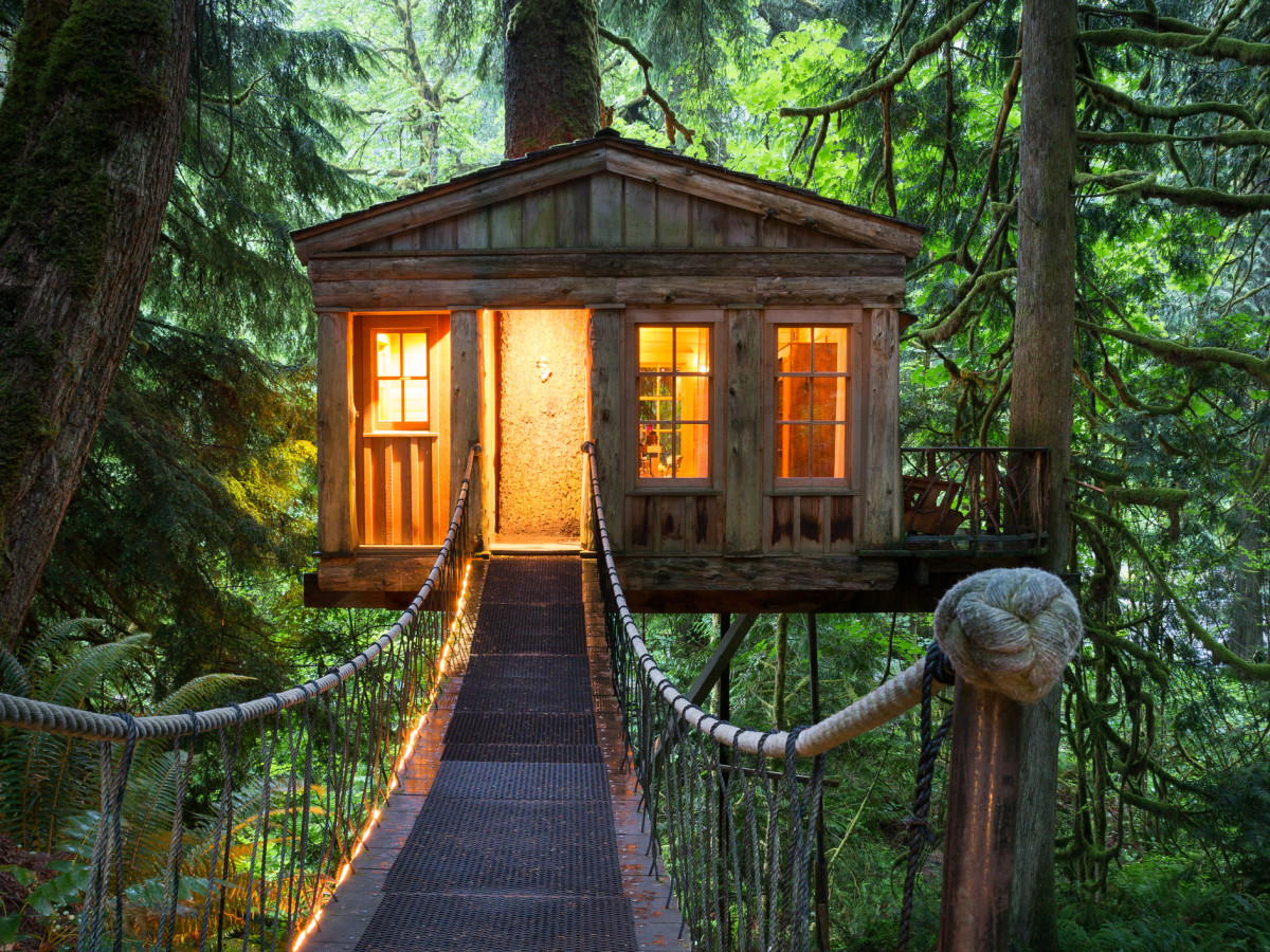 backyard treehouse ideas