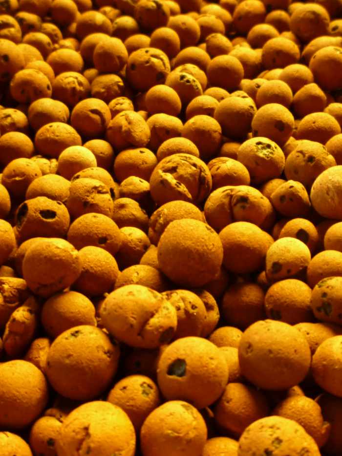 What Is Hydroton? A Versatile Plant-Growing Medium - Dengarden