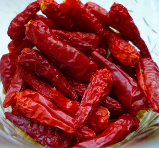 How to Grow Pequin Peppers - Dengarden