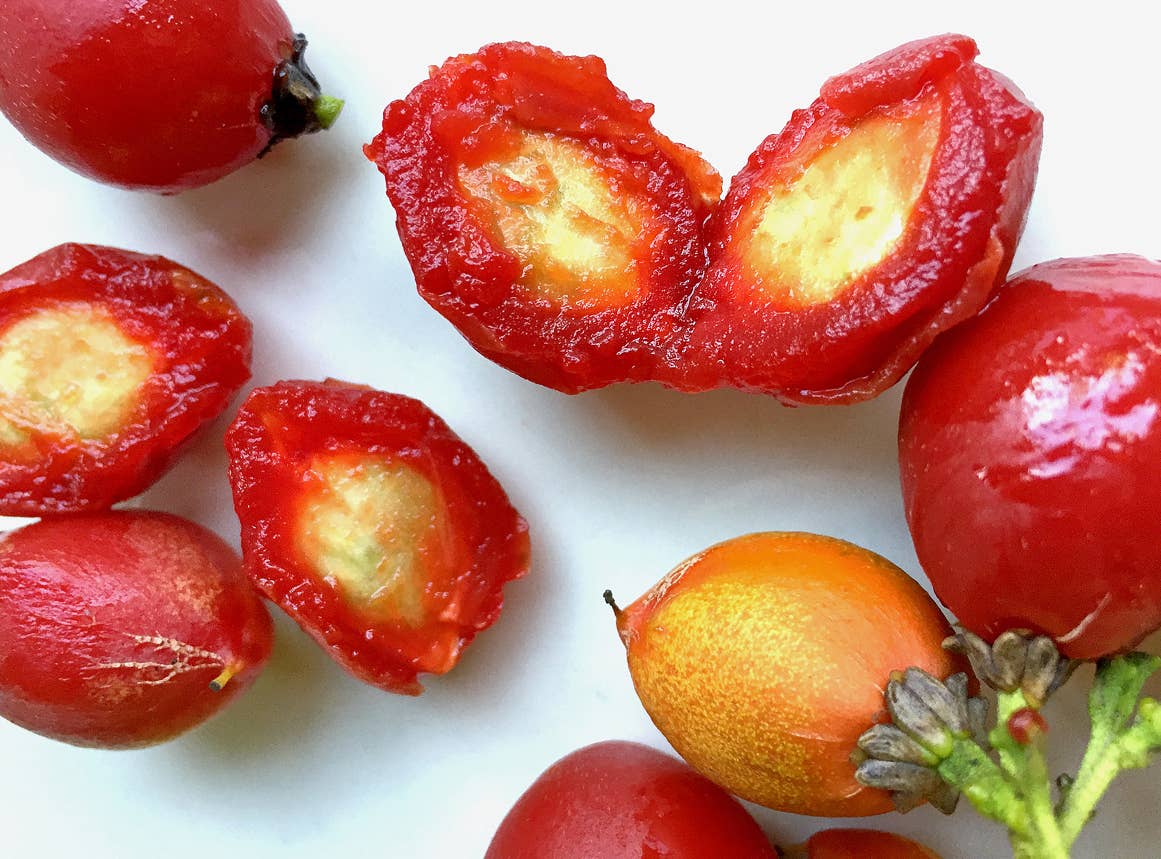 The Peculiar Peanut Butter Fruit of Tropical Hawaii - Dengarden