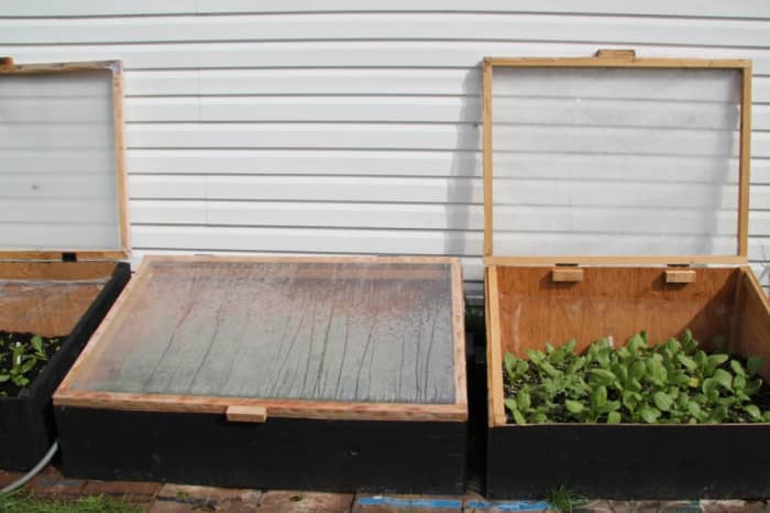 How to Build Cold Frames for a Raised Garden Bed - Dengarden