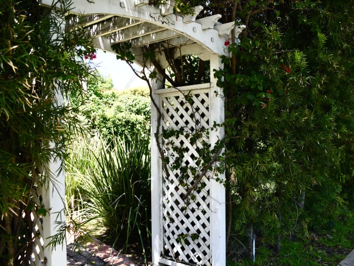 DIY Pea Trellis: How to Build a Simple Pea Trellis in Your Garden ...