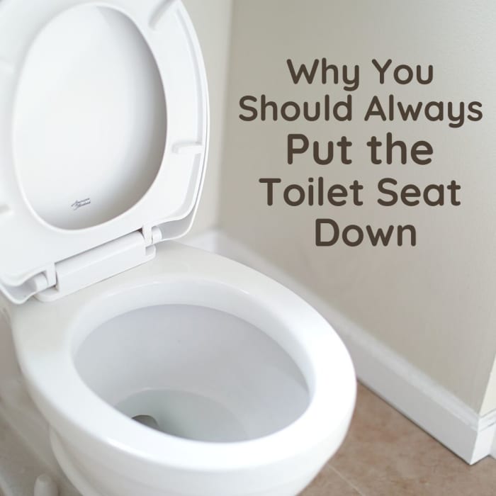 6 Reasons to Put the Toilet Lid Down