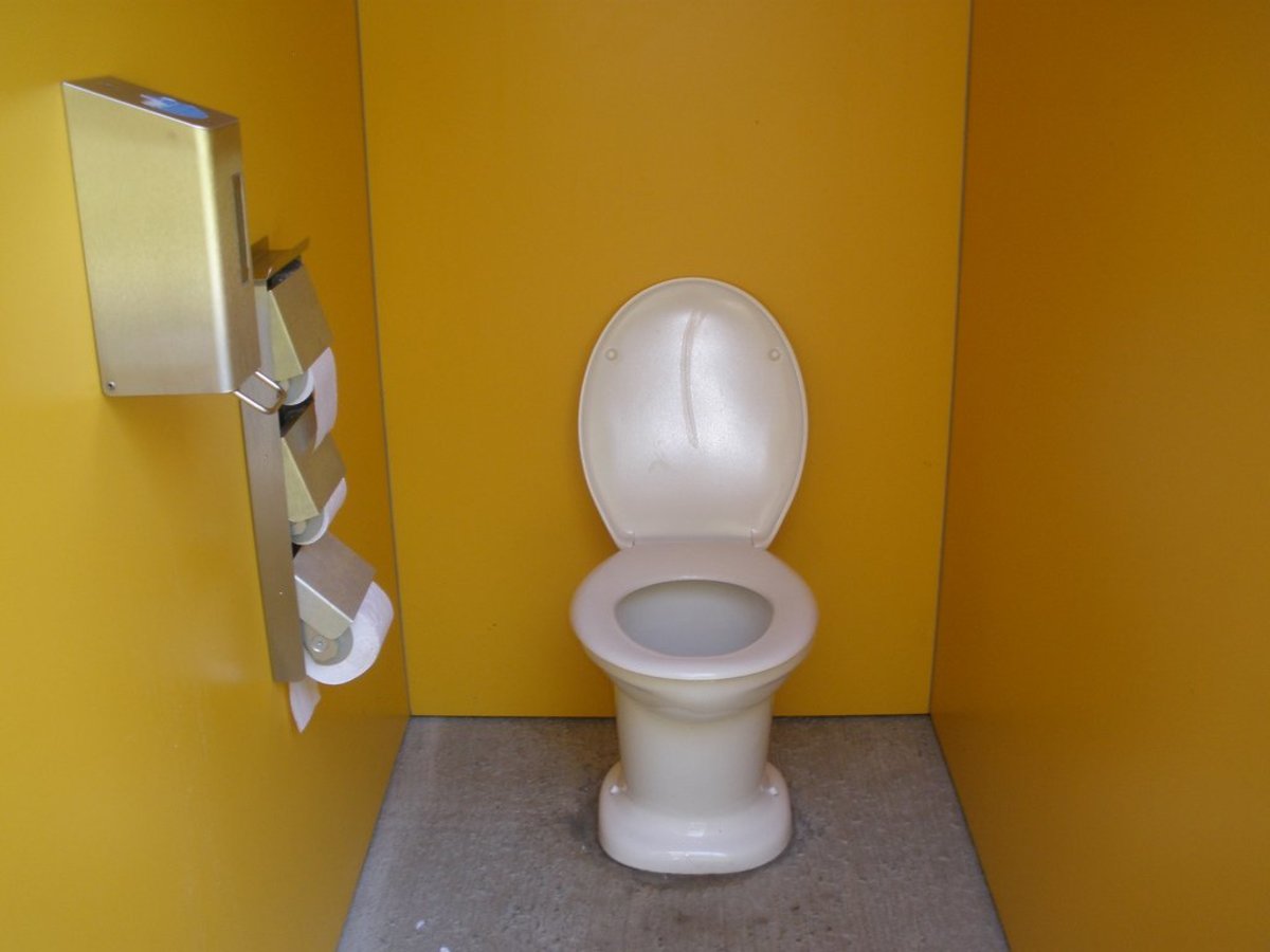 6 Reasons to Put the Toilet Lid Down