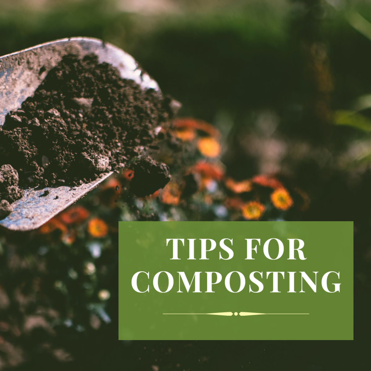 How to Use a Composting Bin or Create a Compost Pile - Dengarden