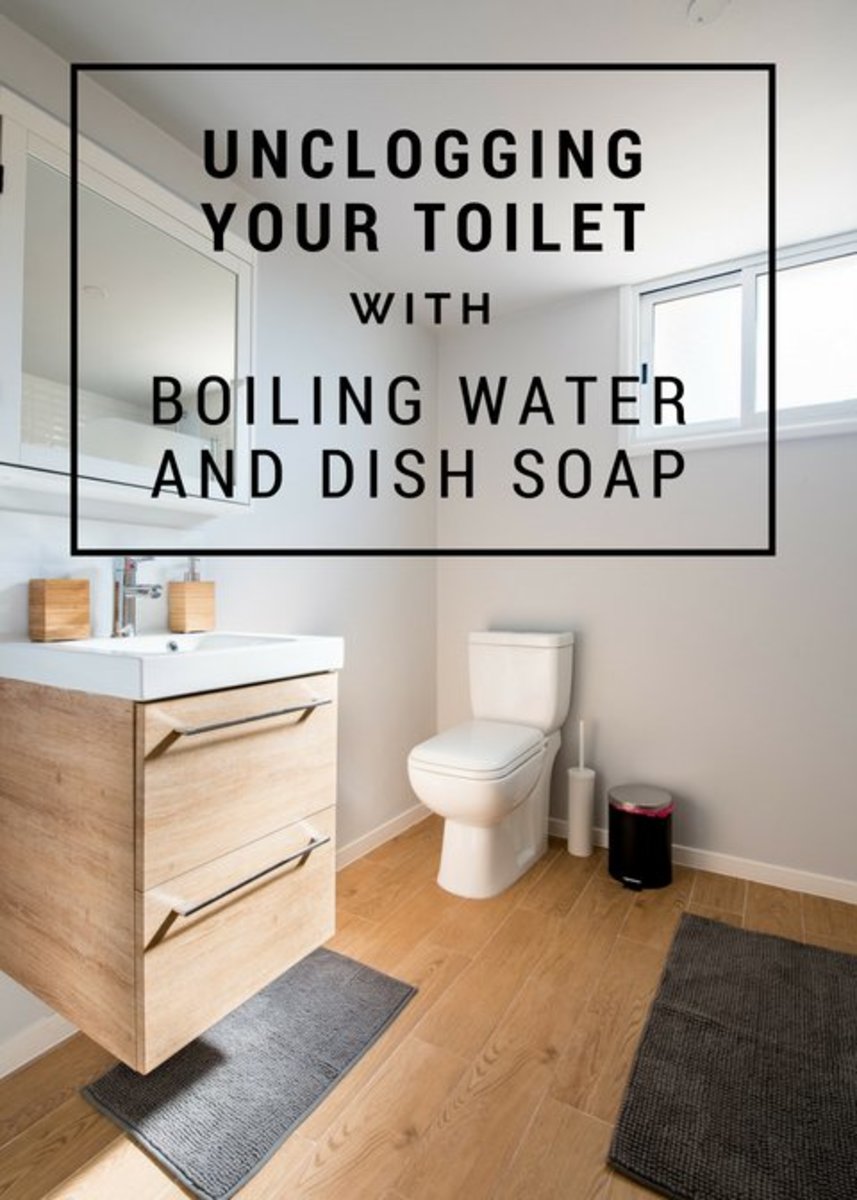 How to Unclog Your Toilet Without a Plunger or Crazy Chemicals - Dengarden
