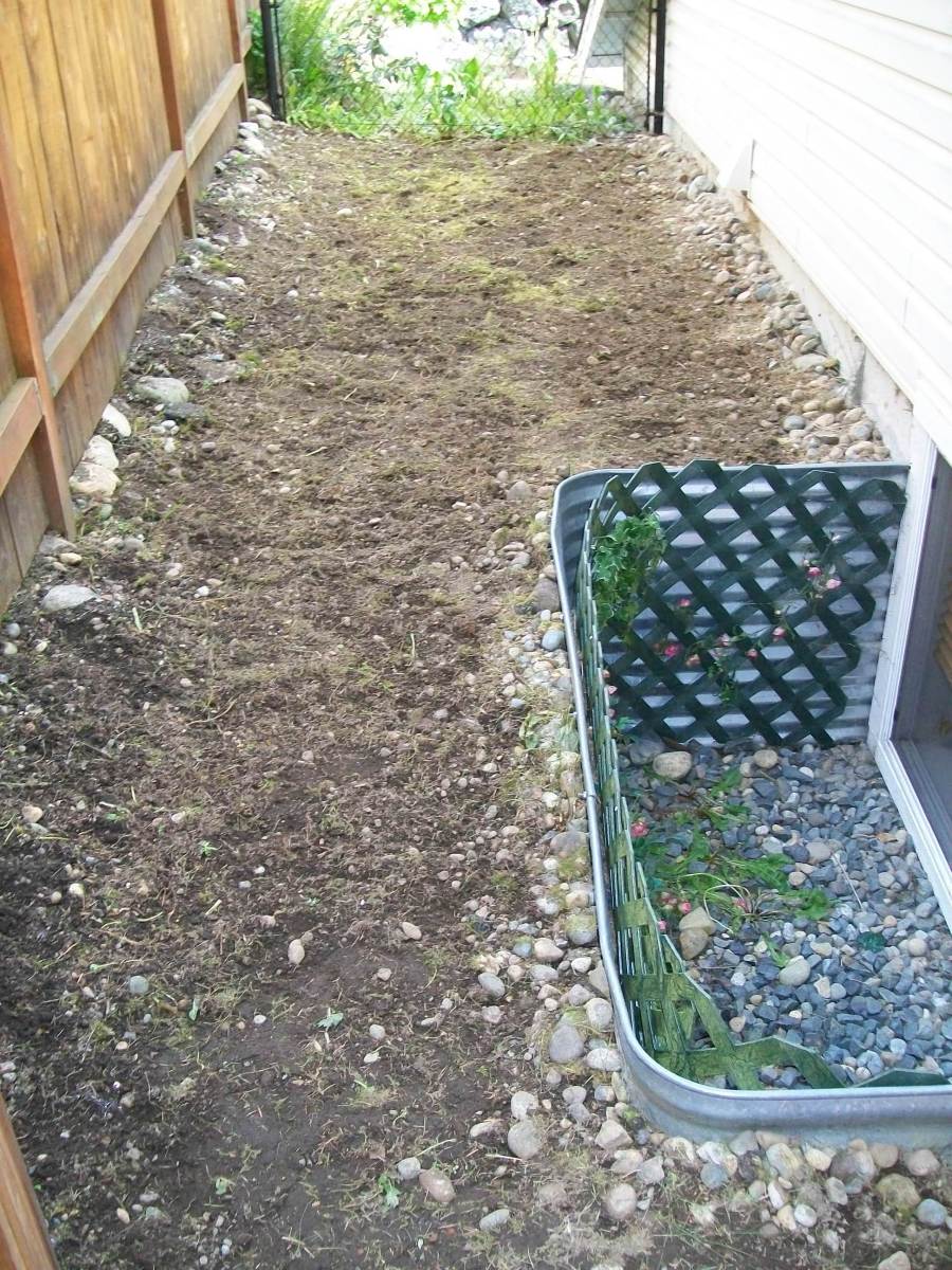 How to Remove and Prevent Weeds From Growing in Your Yard - Dengarden
