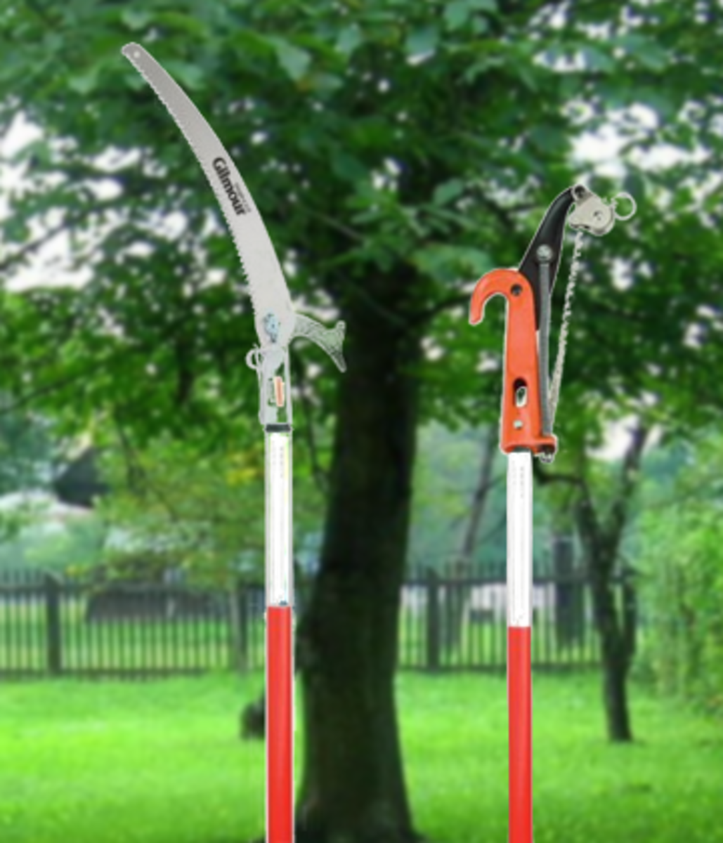 The 10 Best Manual Pole Pruners and Loppers for Tree Trimming - Dengarden