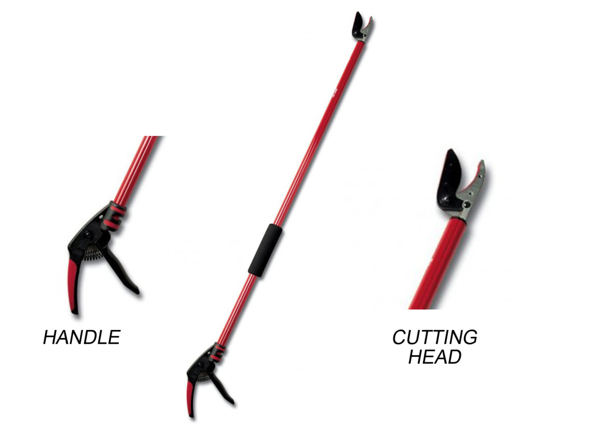 The 10 Best Manual Pole Pruners and Loppers for Tree Trimming - Dengarden