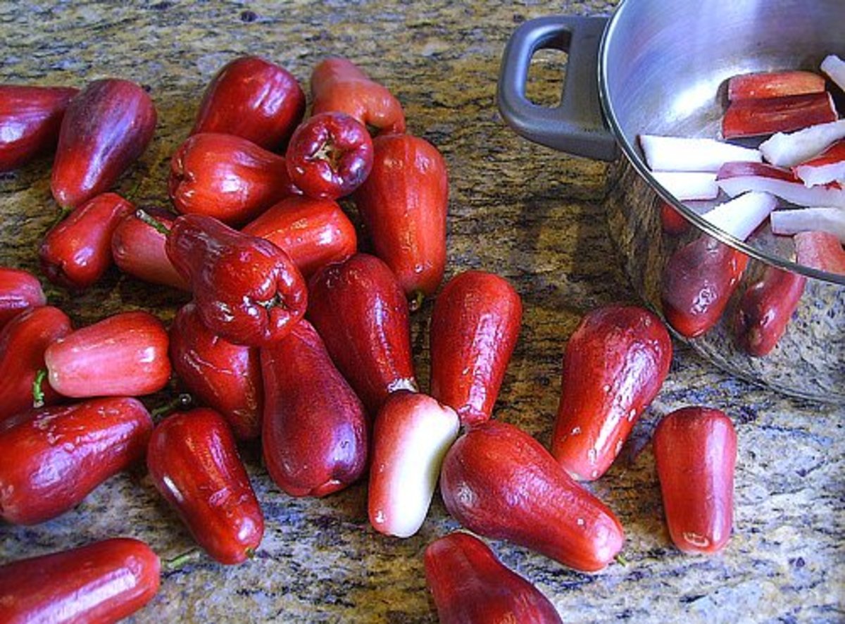 Mountain Apple of Hawaii: Mouthwatering Tropical Taste - Dengarden