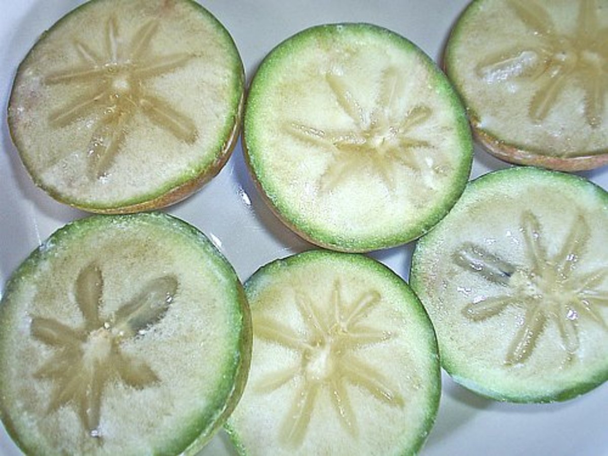 Tropical Taste of Hawaii: The Starry Star Apple - Dengarden