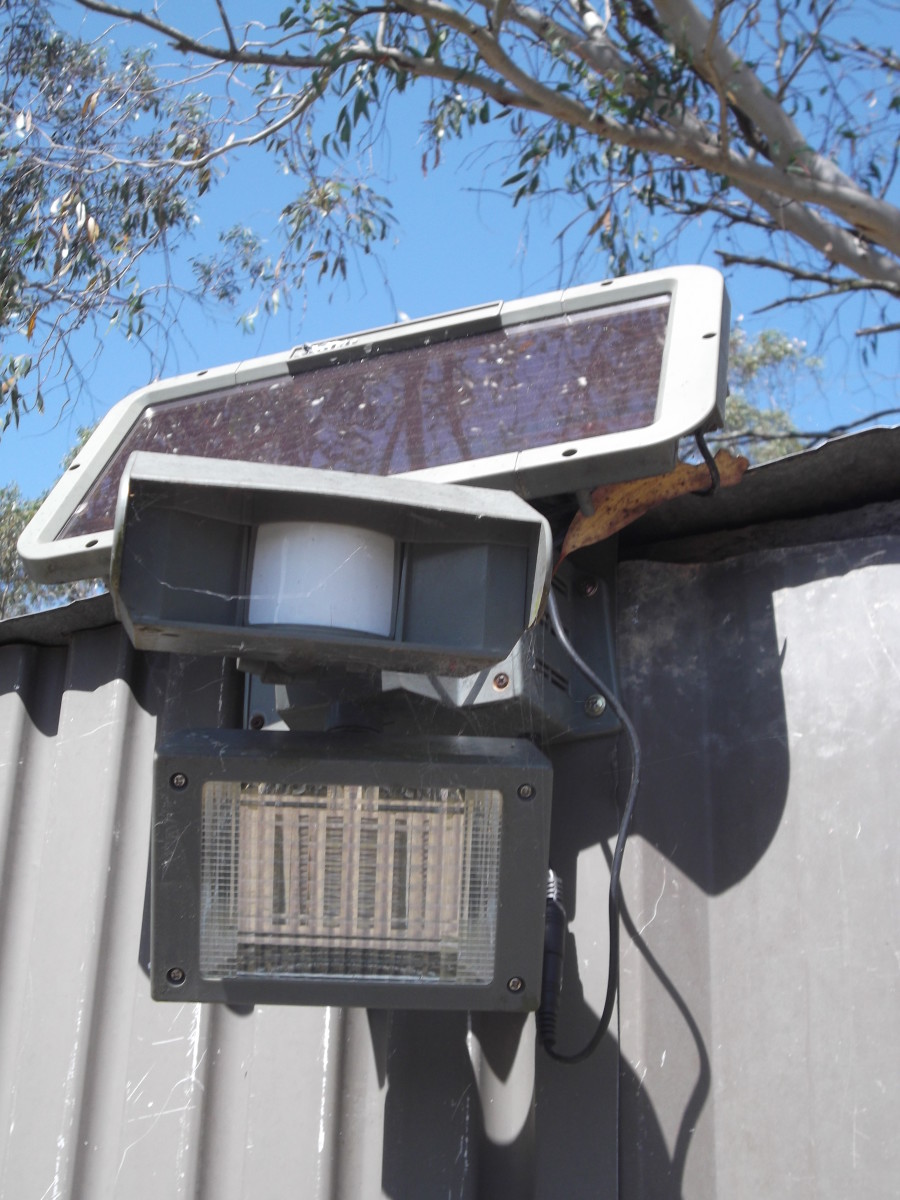 Family Successfully Living Off the Grid - Dengarden