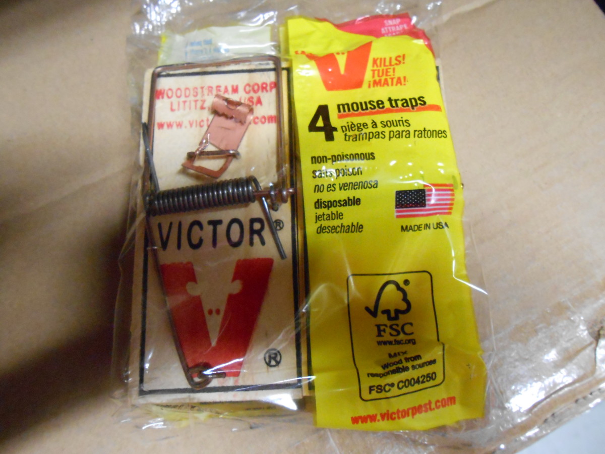 How to Catch a Mouse in the House - Dengarden