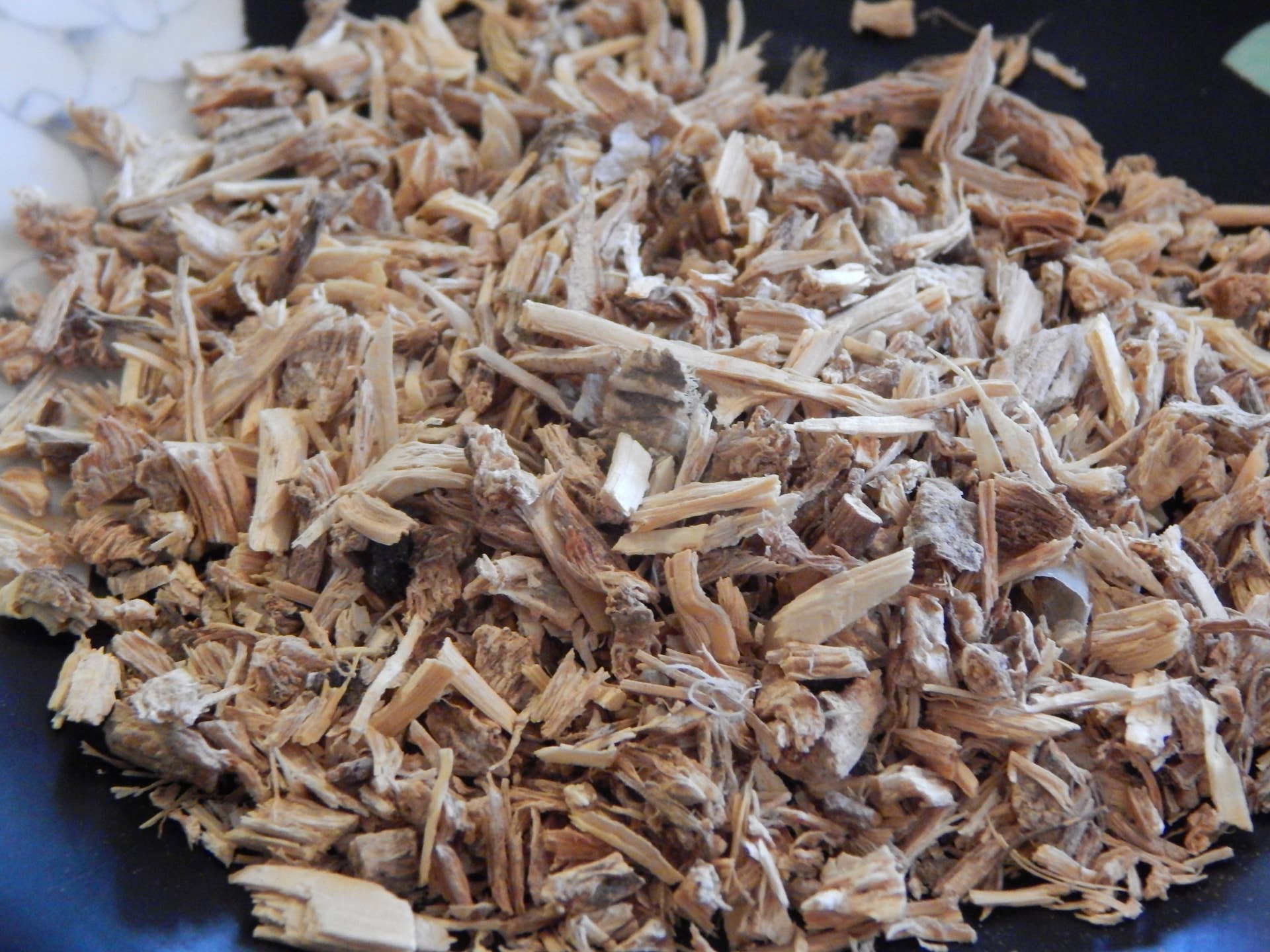 Herb of Angels: Angelica - Dengarden