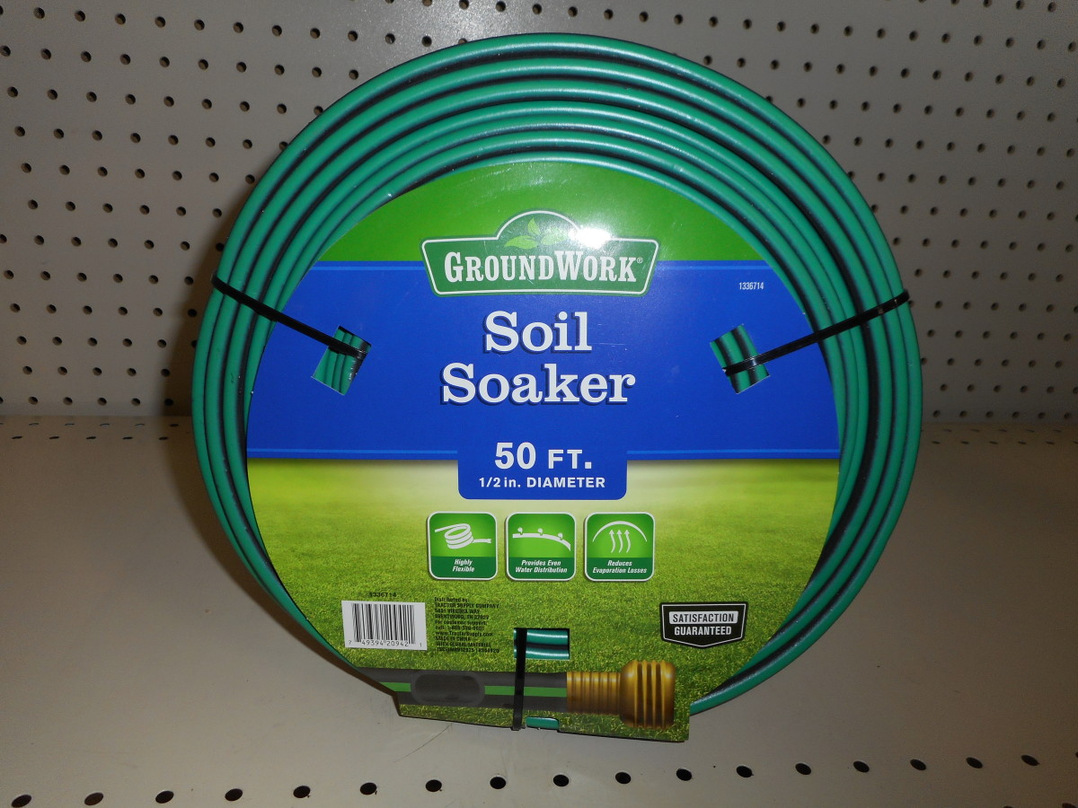 Sea Salt Fertilizers: An Important Organic Gardening Discovery - Dengarden