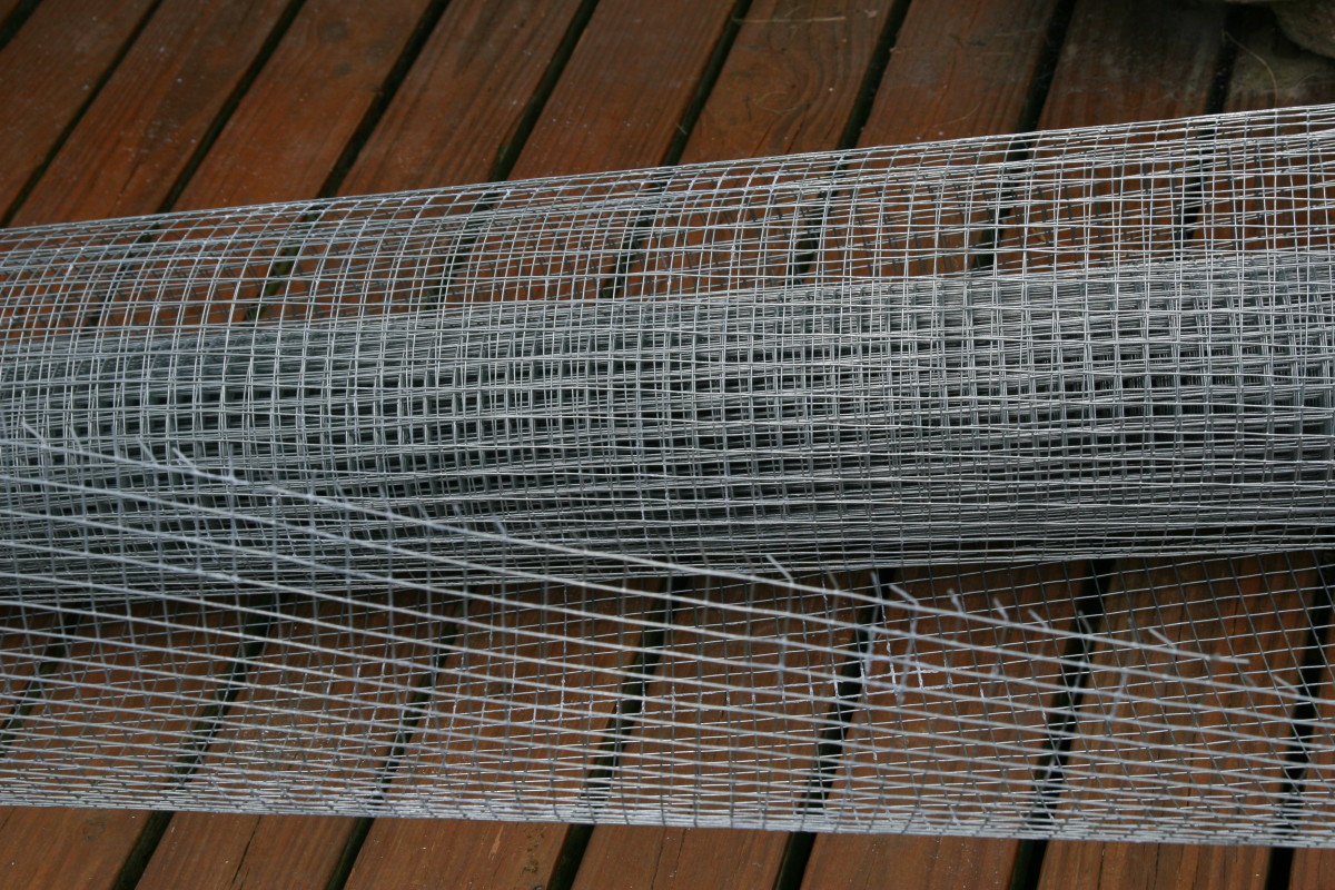 How to Make Your Chicken Coop Predator-Proof - Dengarden