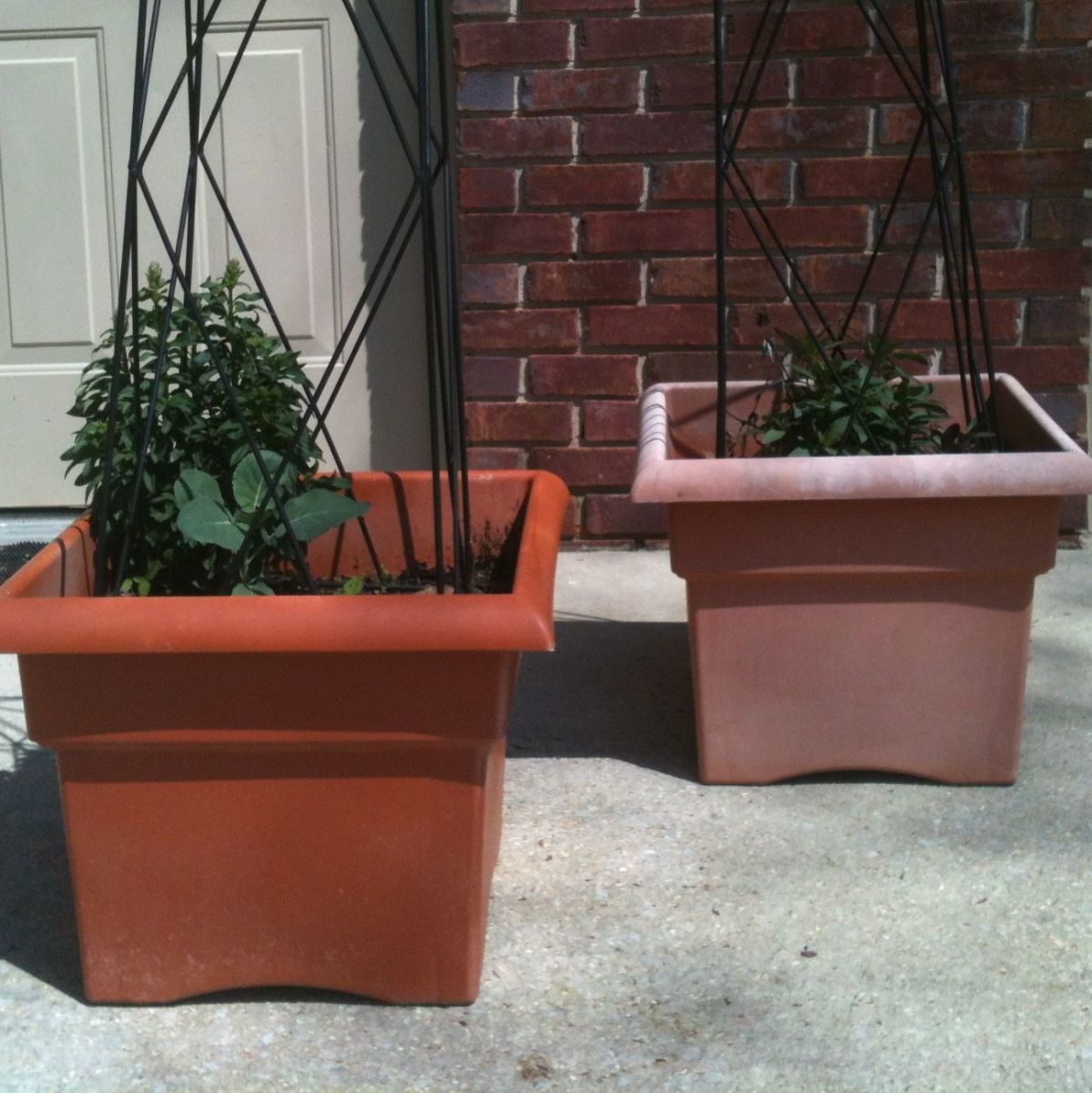How to Rejuvenate Plastic Plant Pots? With Paint! - Dengarden