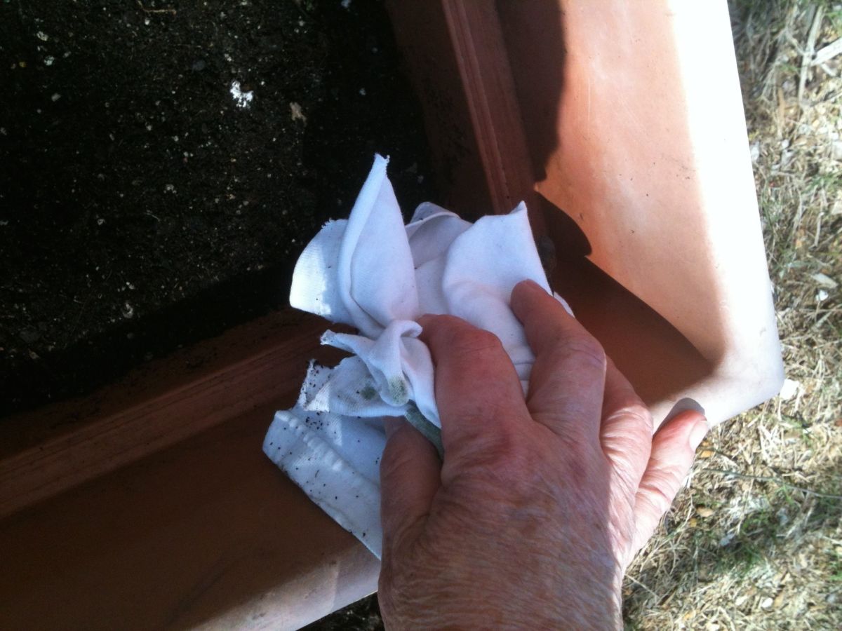 How to Rejuvenate Plastic Plant Pots? With Paint! - Dengarden