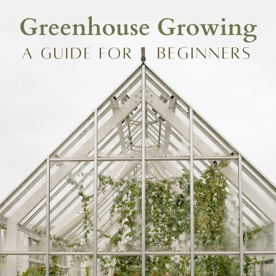 Sustaining a Greenhouse: A Beginner's Guide - Dengarden