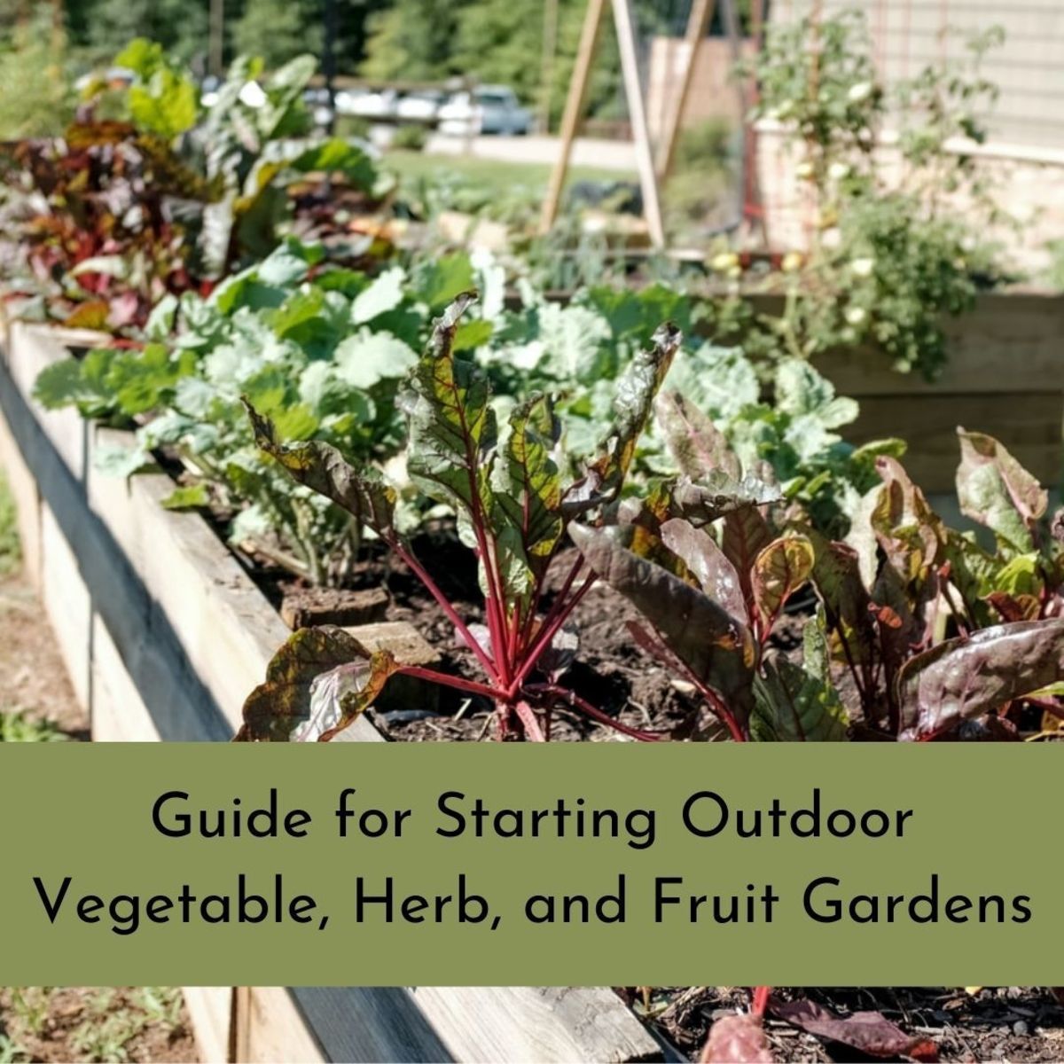 Guide for Starting Outdoor Vegetable, Herb, and Fruit Gardens - Dengarden