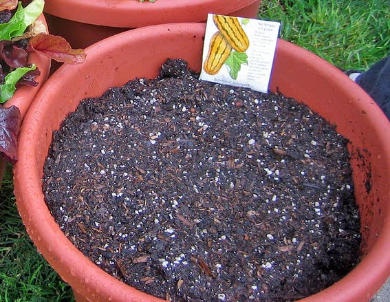 How to Sterilize Potting Soil (Boiling Water Method & More) - Dengarden