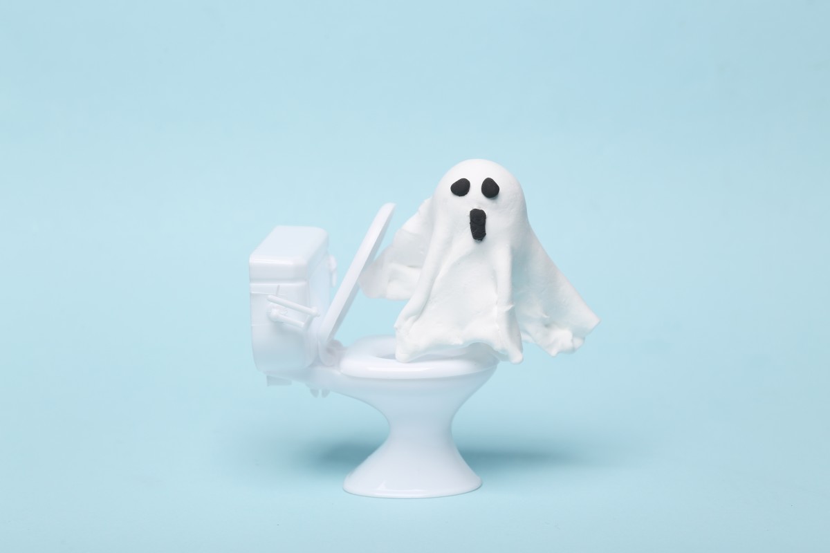 Family Convinced a Ghost Is Fiddling With Bathroom Door, but Carpenter ...