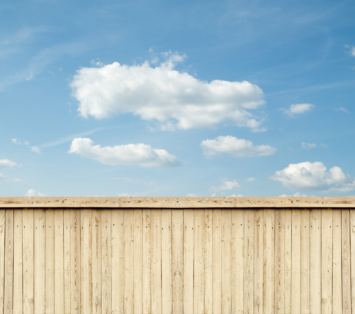 Man Explains How ‘Soft Washing’ Wooden Fences Gets Them Glowing Like ...
