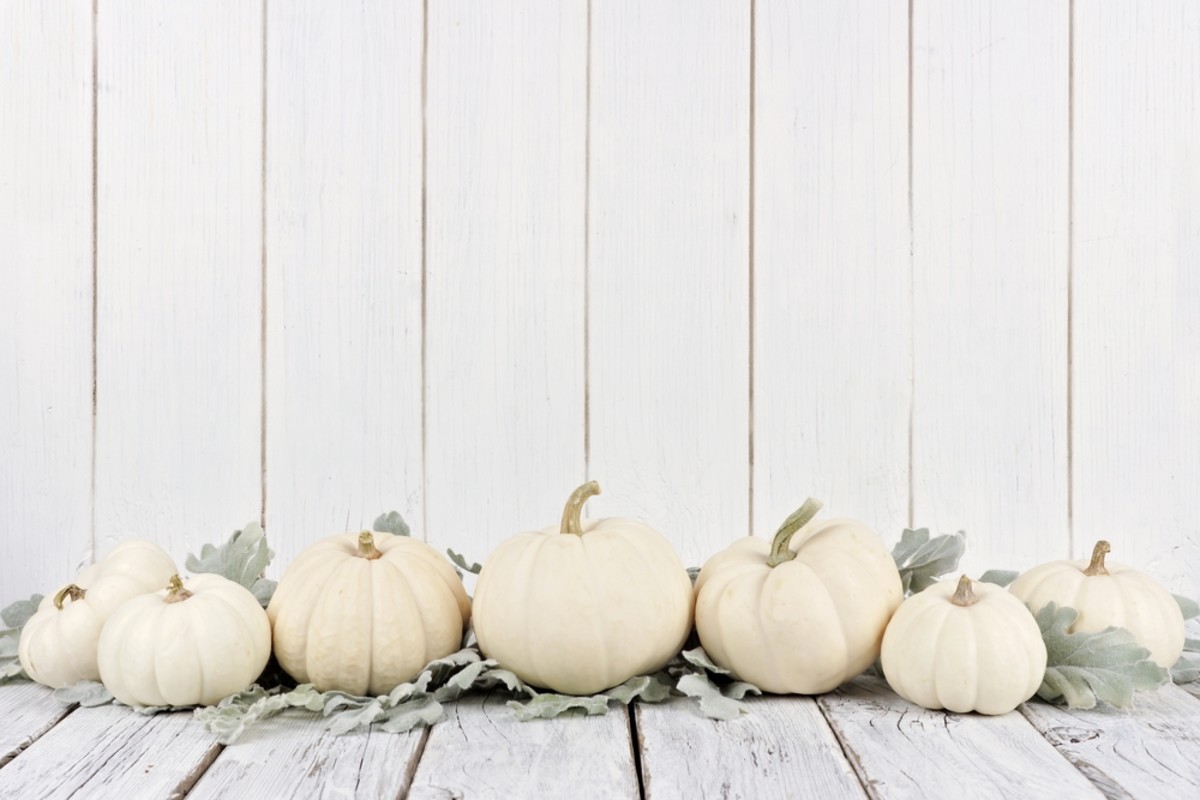These DIY Cement Pumpkins Are Perfect For The Minimalist's Fall ...
