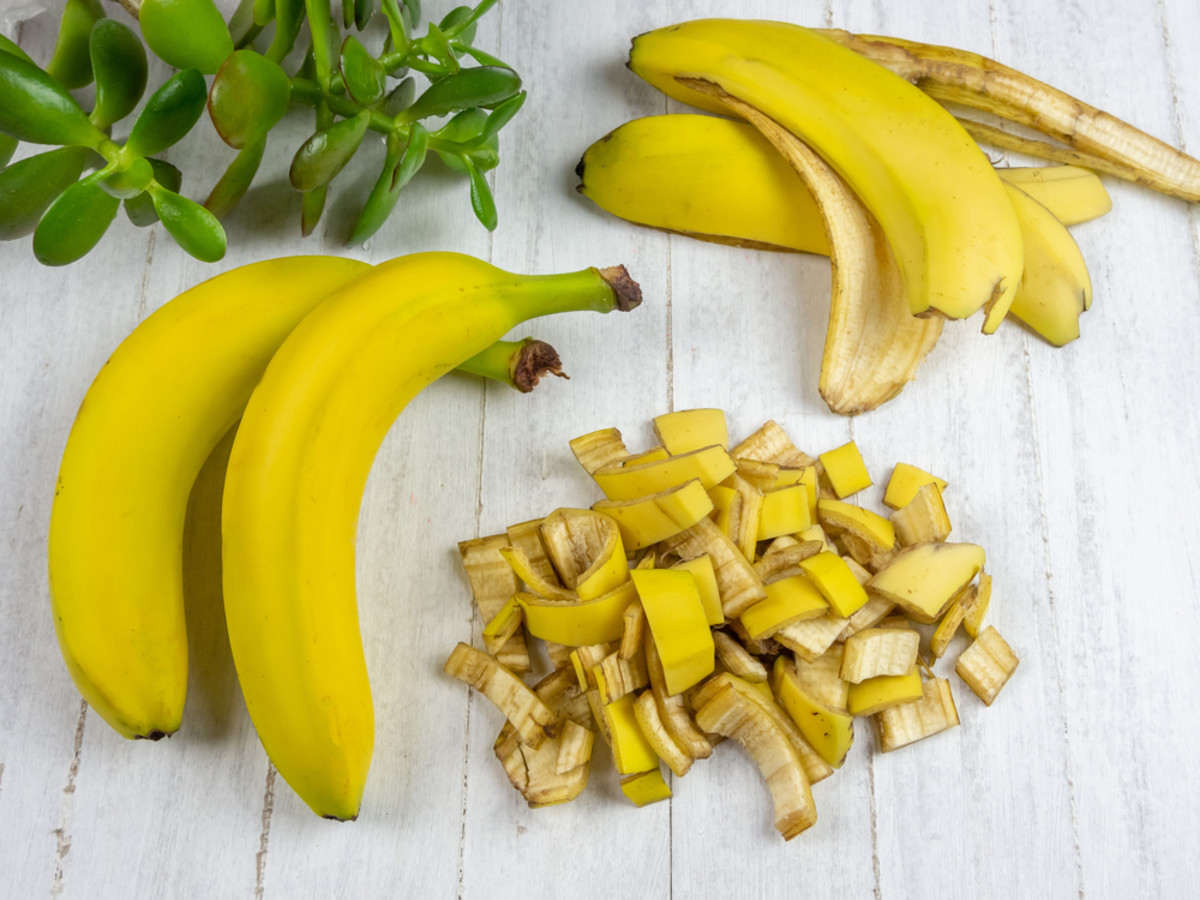 This Two Ingredient Homemade Fertilizer Is Like Magic For Your Plants 