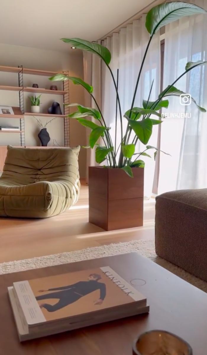 DIYer Turns IKEA's $20 Eket Cubes Into One Giant Indoor Tree Planter ...
