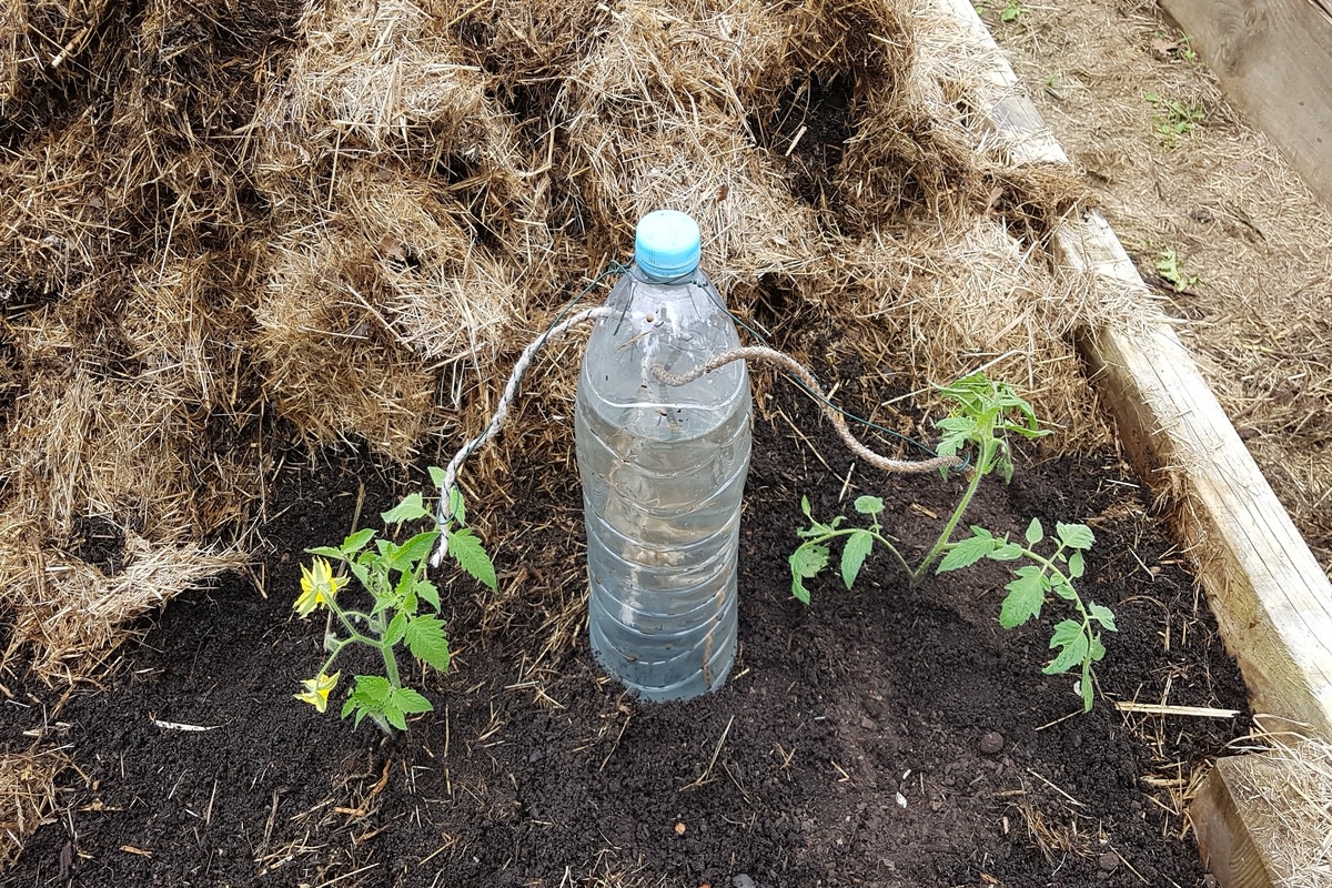 Mom Shares Genius Hack for Easy DIY Irrigation System - Dengarden