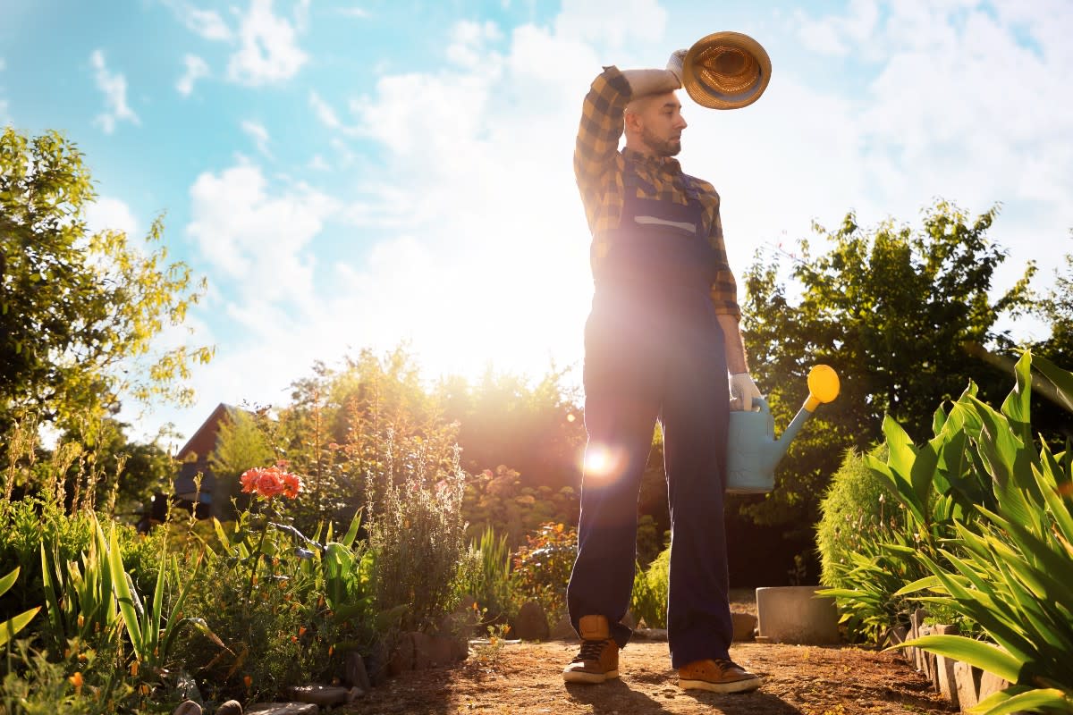 8 Tips For Helping Your Garden Survive The Summer Heat Dengarden News