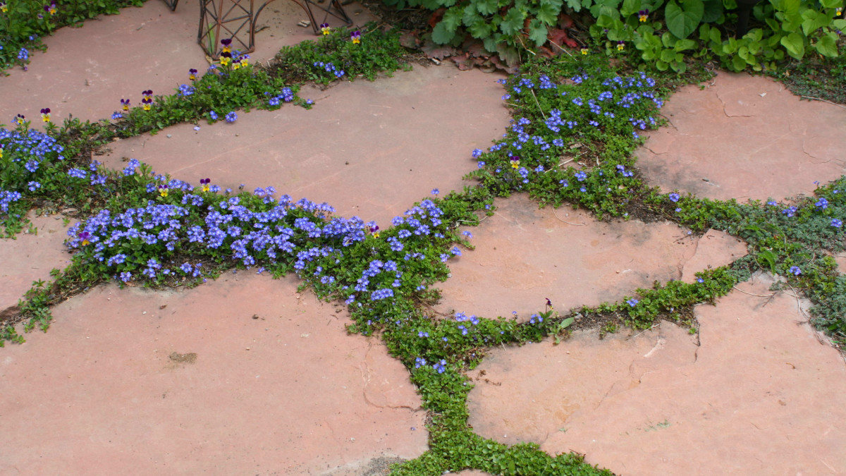 How Do I Lay a Flagstone Walkway? - Dengarden