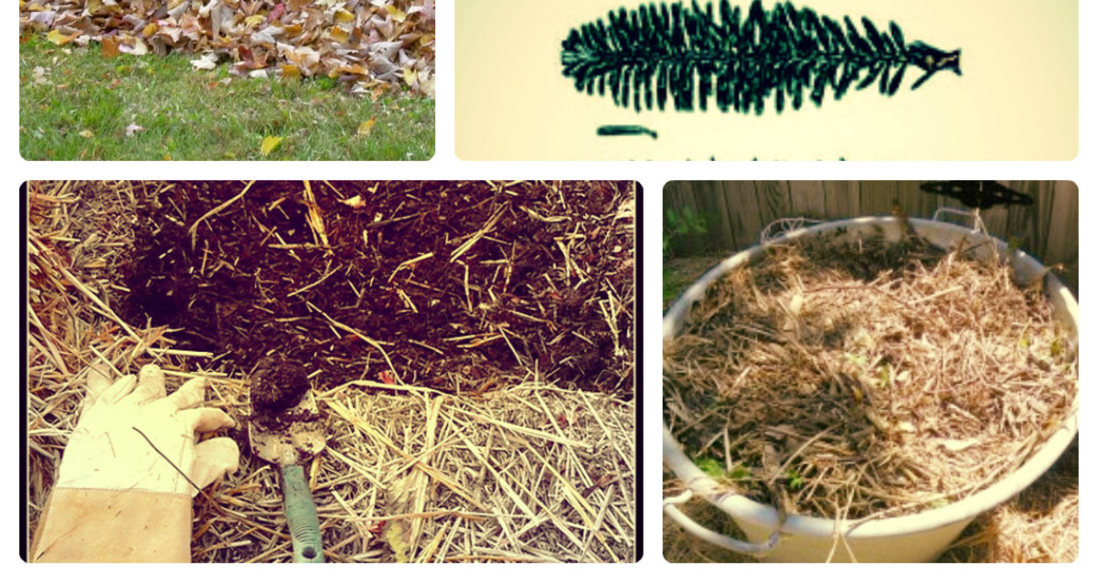 How to Use a Composting Bin or Create a Compost Pile - Dengarden
