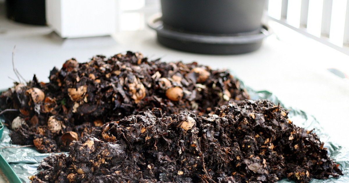 How to Revive and Restart an Old Compost Pile - Dengarden