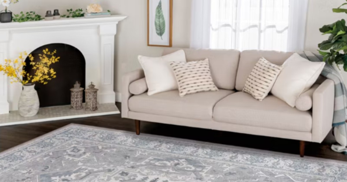 ALDI Is Selling a Near-Perfect Dupe of a Ruggable Rug That's 6x the Price - Dengarden