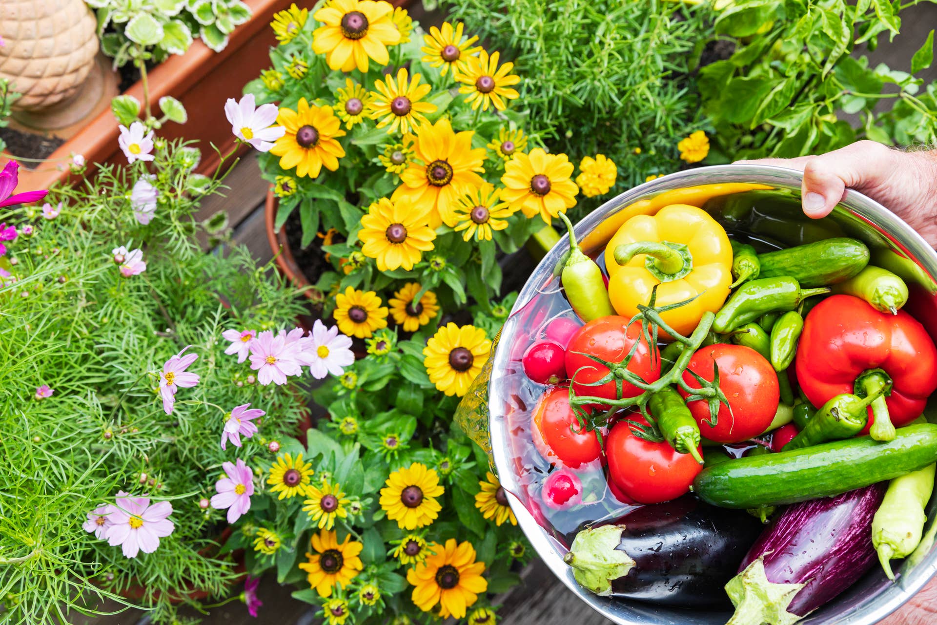 How to Build a Tariff-Proof Garden for Under $250 - Dengarden