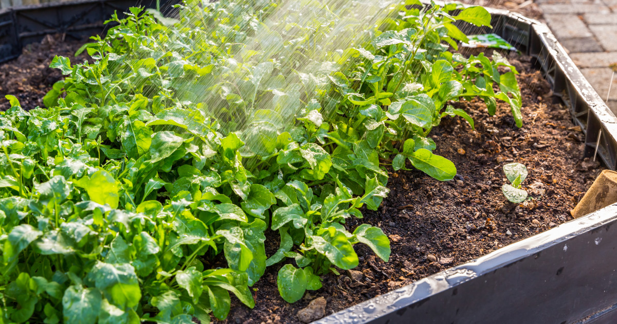 How to Make a Cheap and Easy DIY Garden Bed Sprinkler - Dengarden