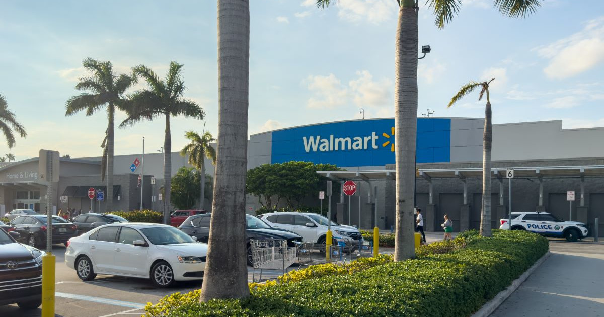 Say 'Bye-Bye' to Flying Insects With This Item From Walmart - Dengarden