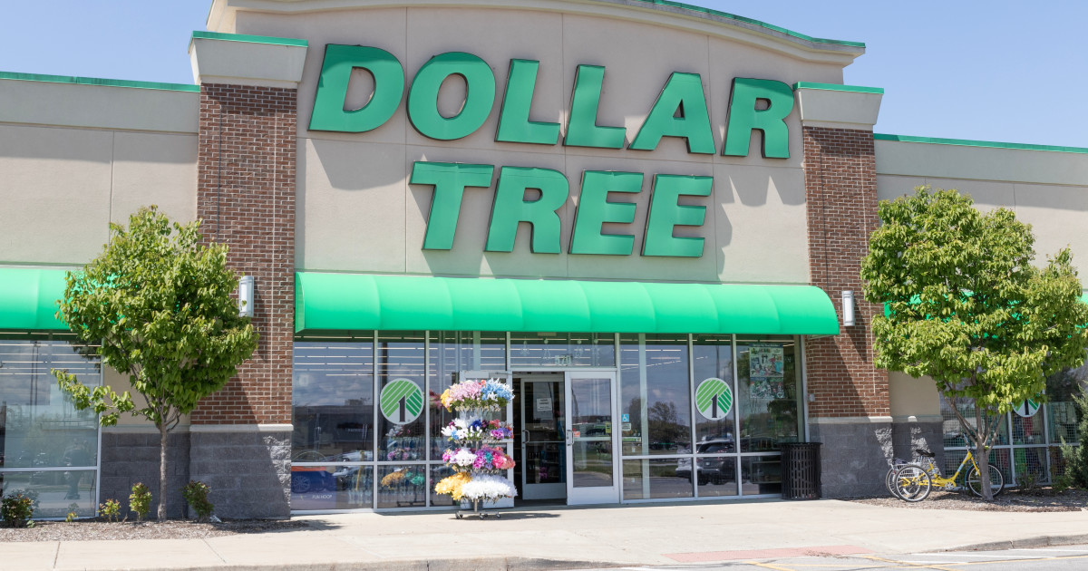 These Adorable Dollar Tree Bags Are Only $1.25 - Dengarden